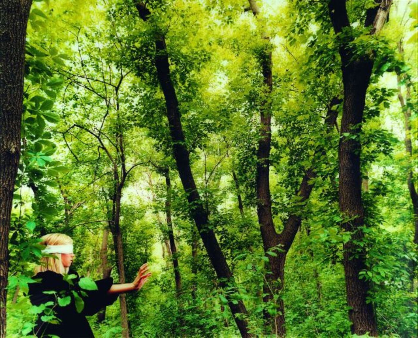 Museum Sinclair-Haus - Gaskell, Anna